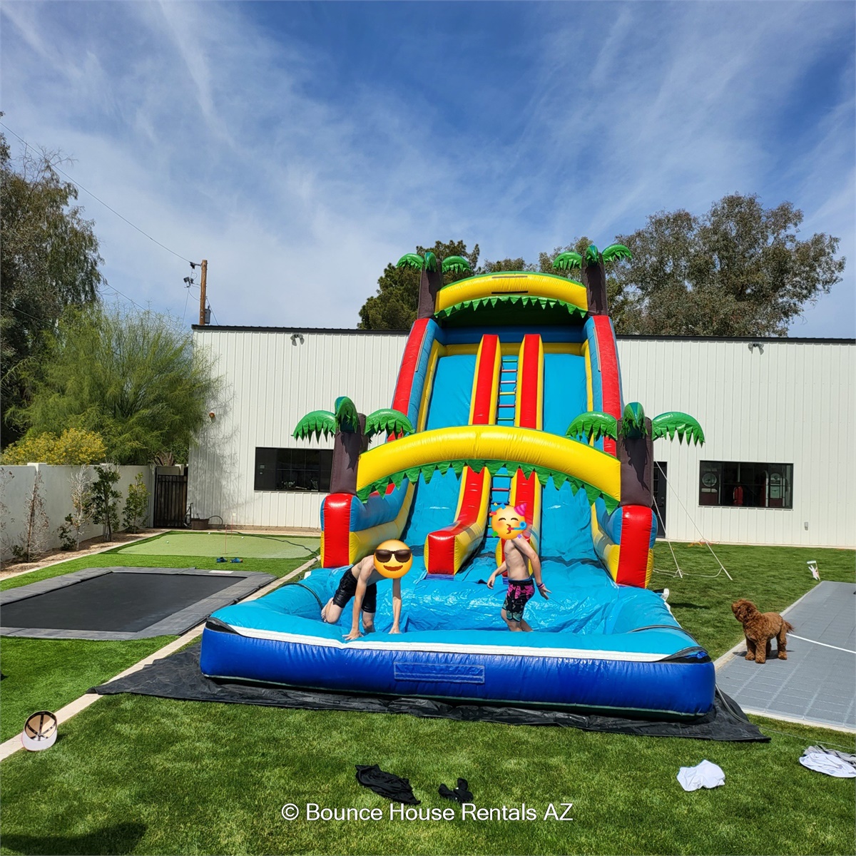 Tropical themed dual lane water slide rental.